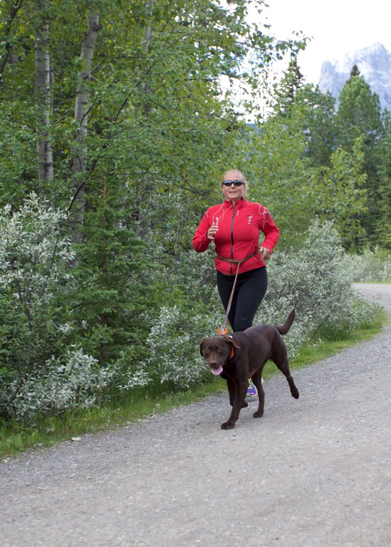 Rocky Mountain Mutt Strut - Visit Downtown Canmore