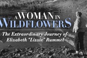 A Woman In Wildflowers by Shirley Truscott – ArtsPlace - Visit Downtown ...